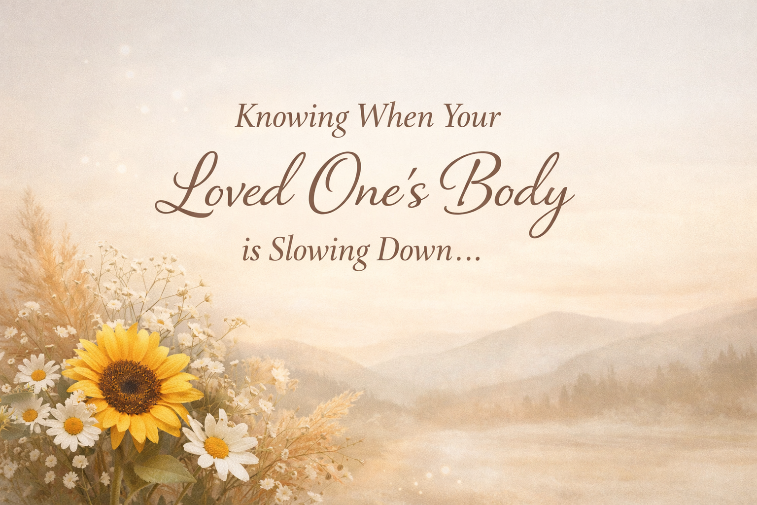 H&W|Gentle Signs the Body May Be Near the End of Life – Lady Flava News